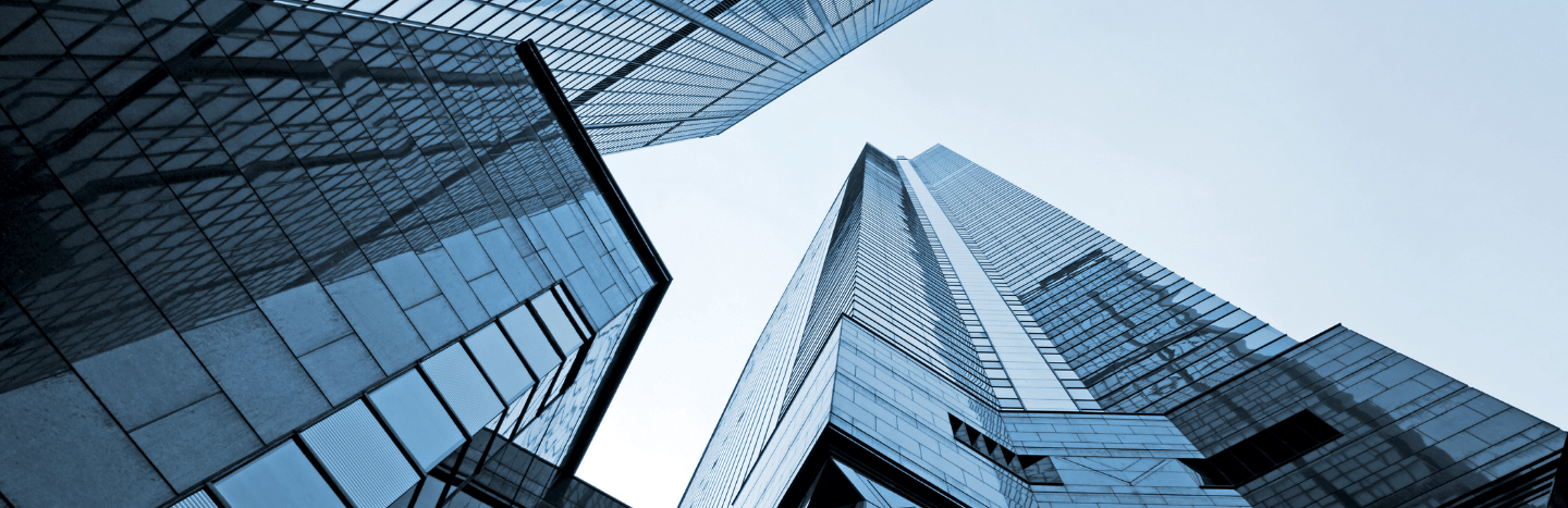 Company Overview - Tradeasia International